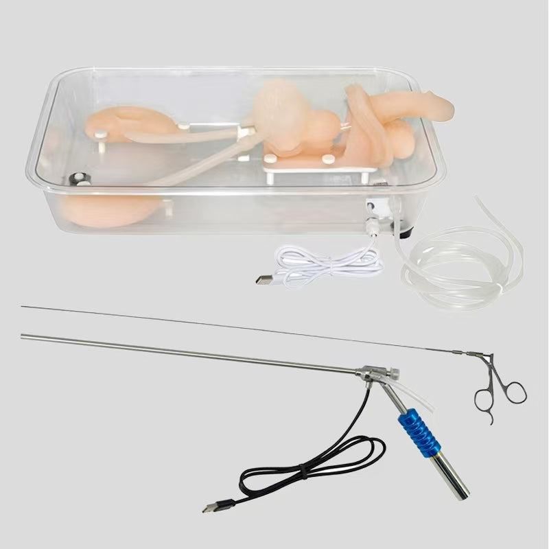 Ureteroscopy Training Simulator Ureteroscopy Urological Organ Model ...
